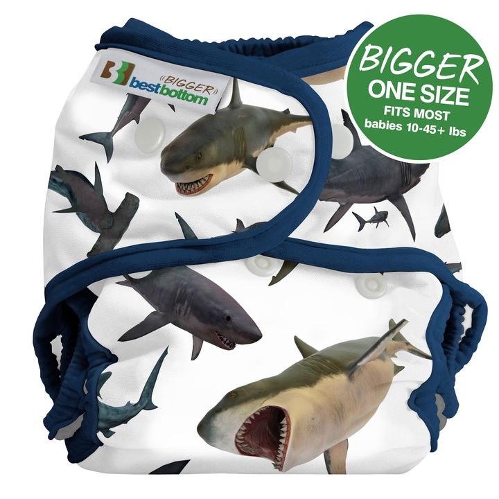 Best Bottom Bigger Shell: This Bites